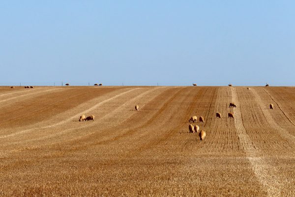 Open Source Agtech Iot Ecosystems Opensensing